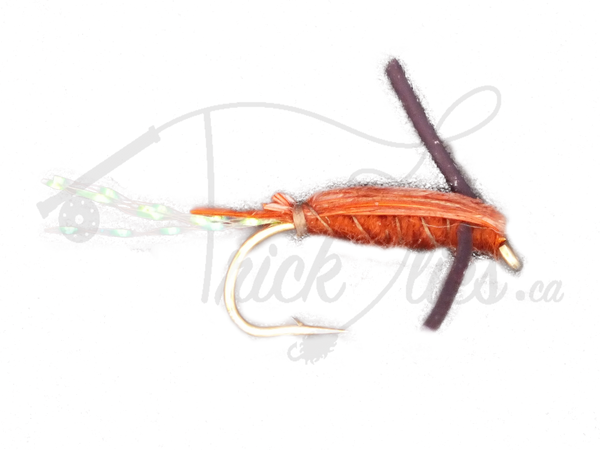 Water Boatman Brown – Leapfrog Outdoor