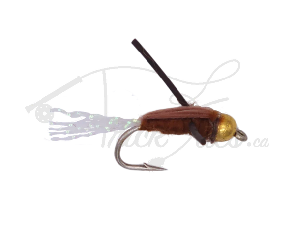 Beadhead Water Boatman Brown – Leapfrog Outdoor
