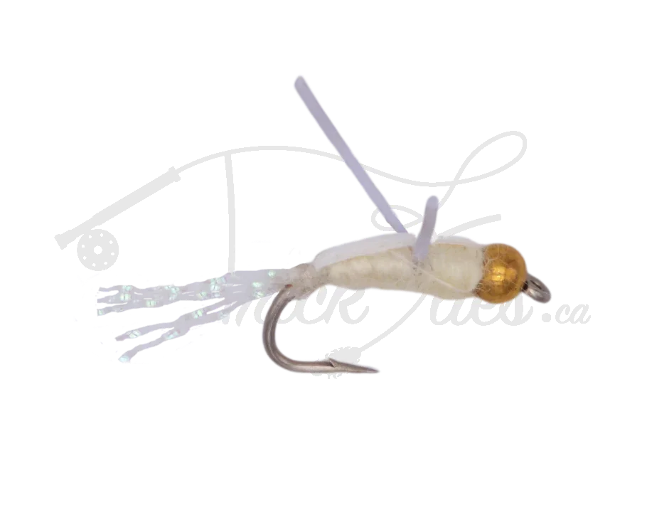Beadhead Water Boatman Cream | Leapfrog Outdoor